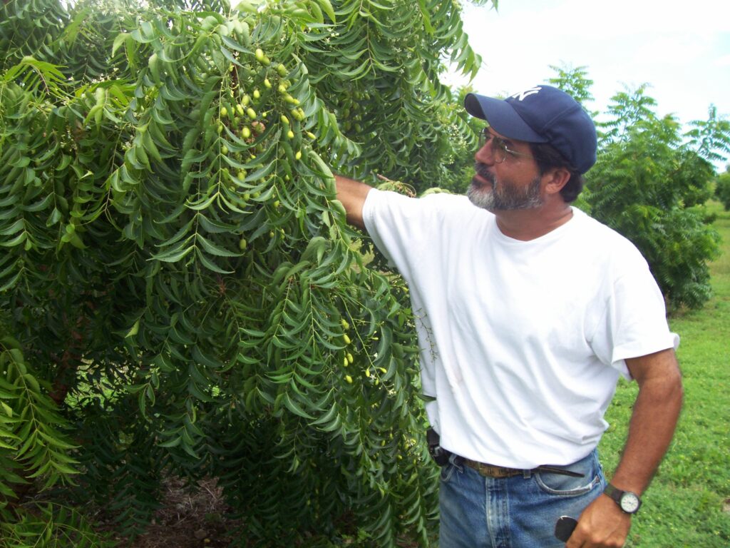 Farm Tours & Volunteer Opportunity – Abaco Neem